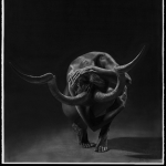 Dramatic Hyperrealism Drawing Infused with Surrealism by Jono Dry