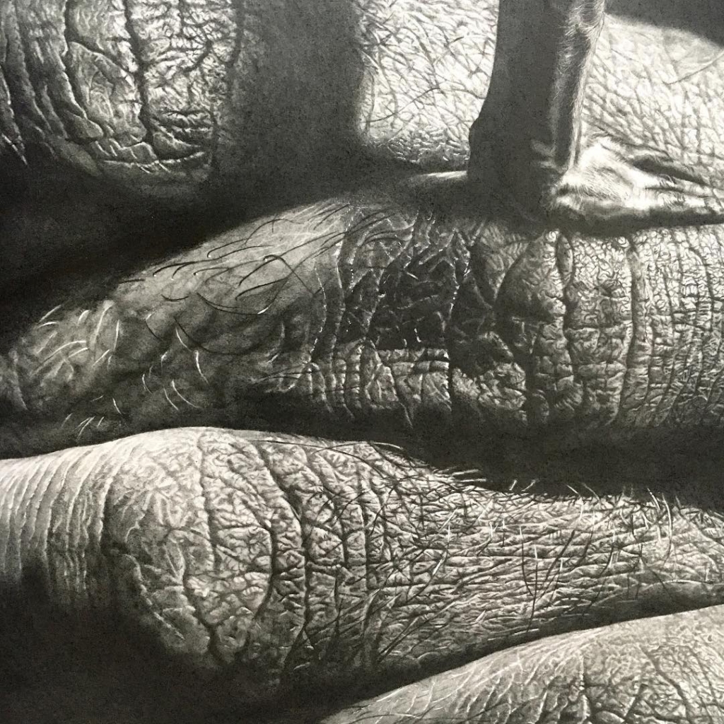 Artist’s Giant Pencil Drawings Blur the Line Between Hyperrealism and ...