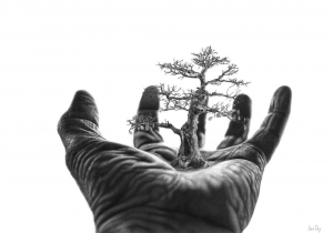 Dramatic Hyperrealism Drawing Infused with Surrealism by Jono Dry