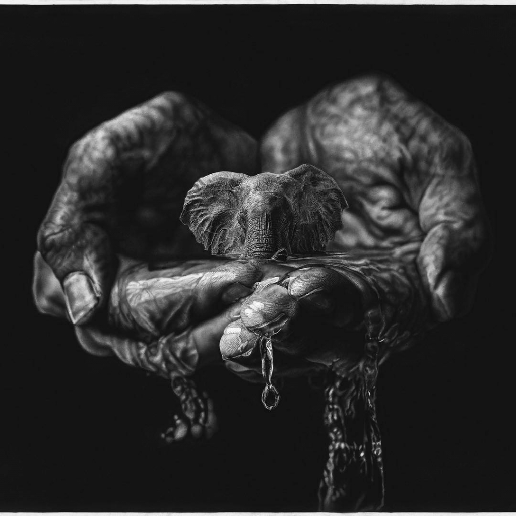 Dramatic Hyperrealism Drawing Infused with Surrealism by Jono Dry