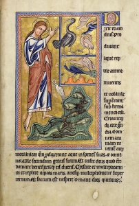 Illuminated Manuscript The Aberdeen Bestiary Digitized In High Resolution