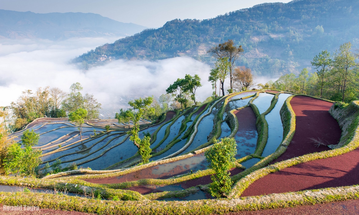 My Modern Met – The Big City That Celebrates Creative Ideas