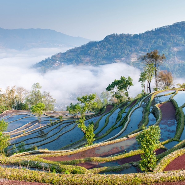 New Photo Reveals Descendants of the Founding Fathers 241 Years Later