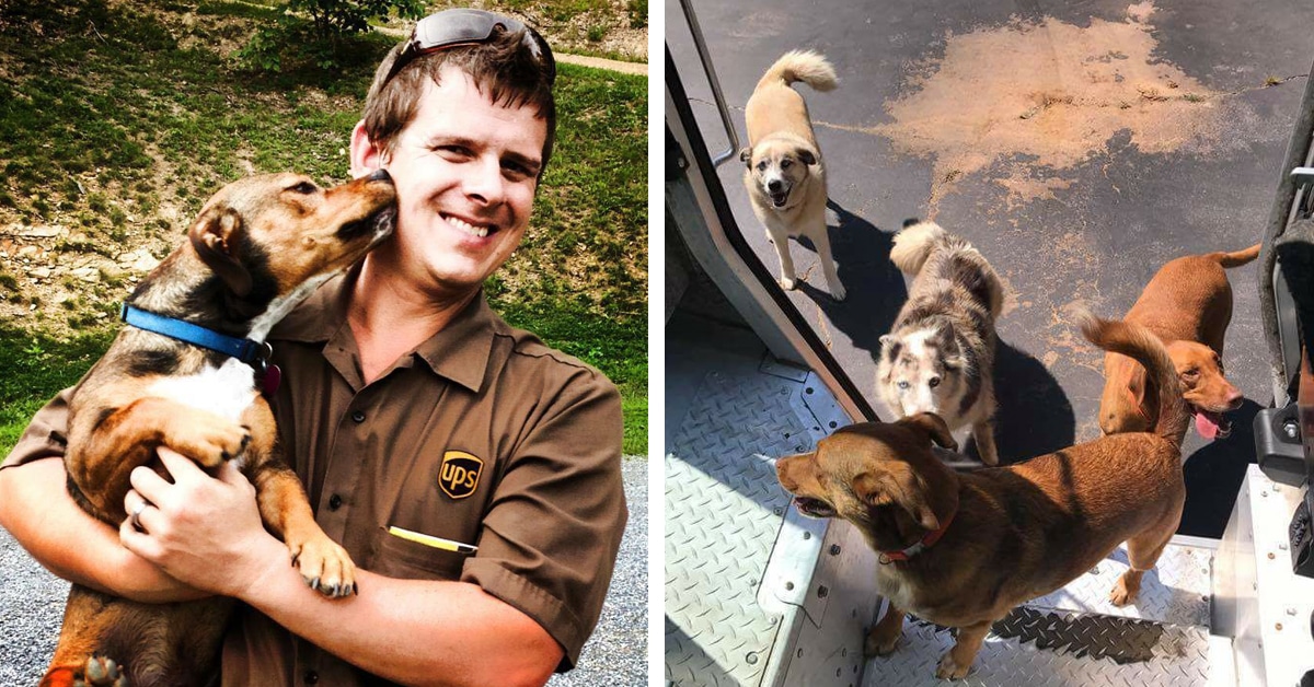 UPS Dogs Facebook Group Celebrates the Pups Along Drivers' Routes
