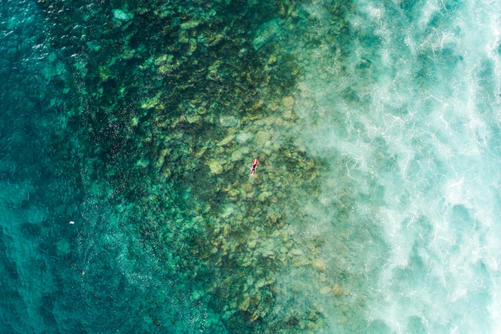 Interview with Up and Coming Wildlife Photographer Richard Johnston