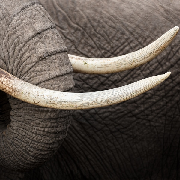 Endearing Childhood Portraits Reveal the Lives of Iconic Musicians ...