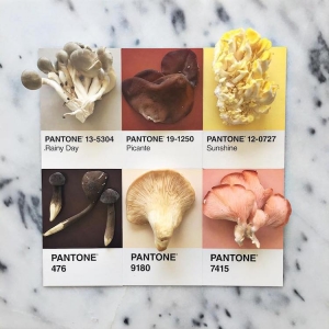 Foodie Matches Anything Edible with Its Perfect Pantone Swatch | My ...
