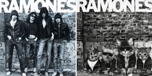 Cat Album Covers Replace Iconic Designs with Adorable Kittens