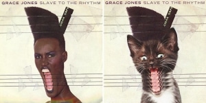 Cat Album Covers Replace Iconic Designs with Adorable Kittens