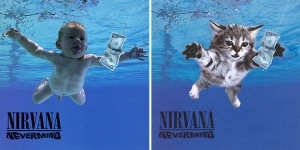 Cat Album Covers Replace Iconic Designs with Adorable Kittens