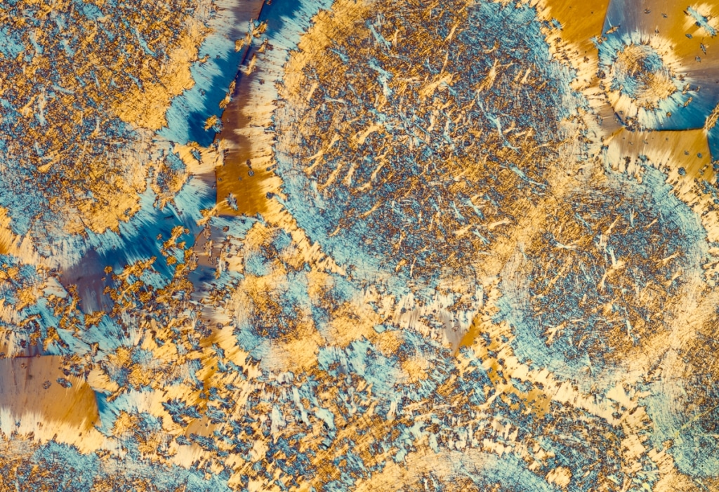 Interview: Capturing Unexpected Photos of Crystallized Substances Under ...