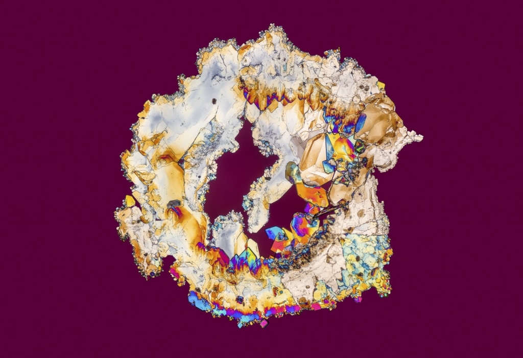 Interview: Capturing Unexpected Photos of Crystallized Substances Under ...