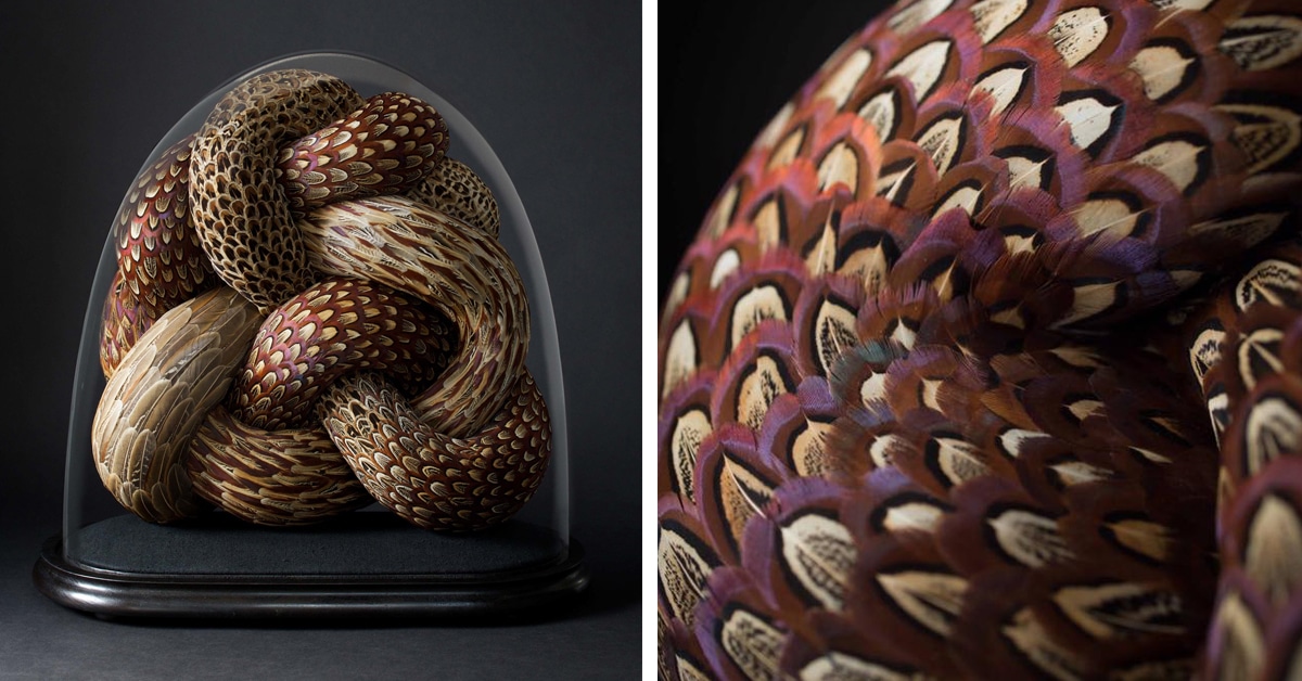 Surreal, Snake-Like Sculptures Are Made from Fallen British Bird Feathers