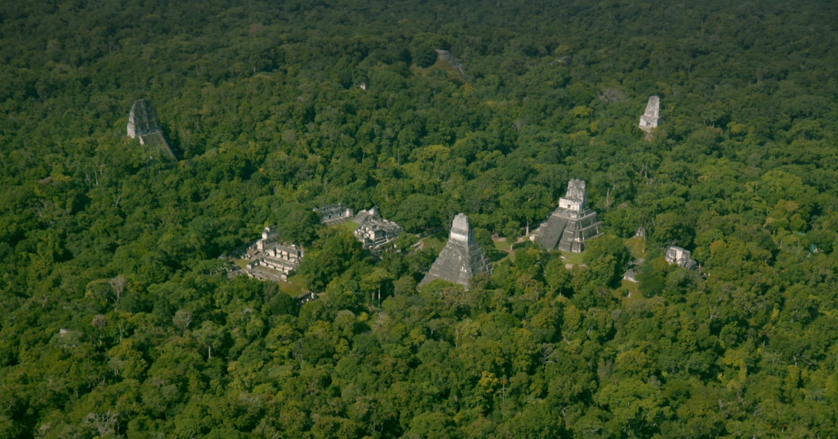 Laser Technology Discovers Over 60,000 Structures from Maya Civilization
