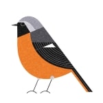 Artist Illustrates 25 Japanese Birds for Tokyo Bird Species Handbook