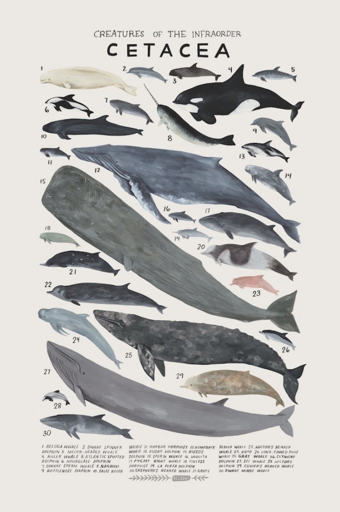 Gifts for Ocean Lovers Put an Under-the-Sea Spin on Creative Products