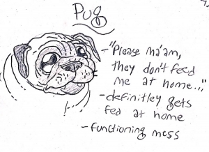 Illustrator Draws Hilarious Guide to Different Dog Breeds