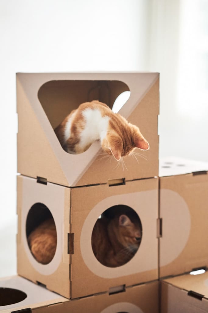 Modular Cardboard Cat Furniture is an Ever-Changing Playground