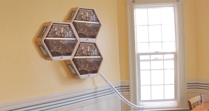 Modular Bee Hives Allow You to Observe and Learn About Pollination