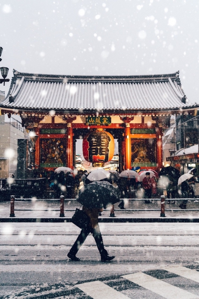 Beautiful Photographs of Tokyo Blanketed in Snow