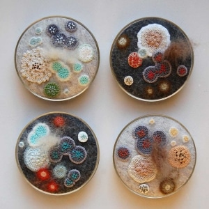 Elin Thomas' Felt Fiber Art Makes Fuzzy Fungi Look Cute