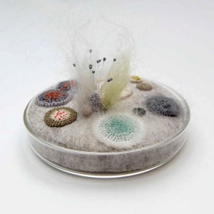 Elin Thomas' Felt Fiber Art Makes Fuzzy Fungi Look Cute