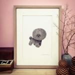 Fluffy Black Cat Ink Drawings Express the Personalities of Funny Felines