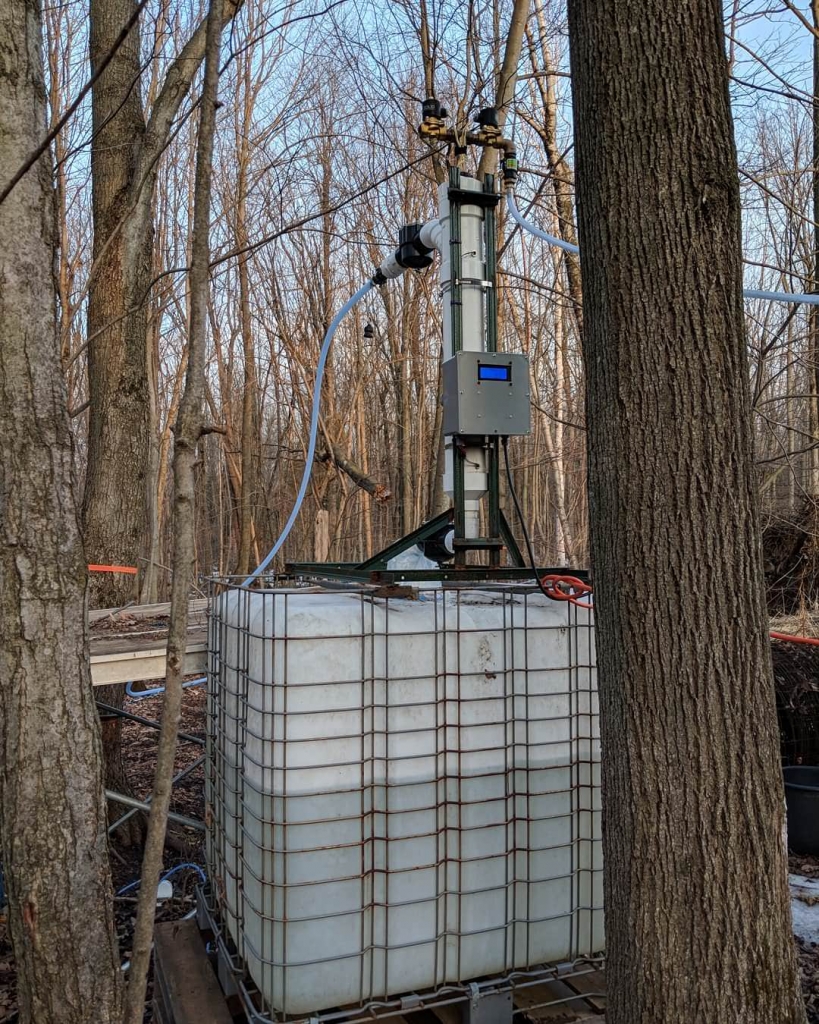 Man’s DIY Maple Tree Tapping System Collects 100 Gallons of Sap | Page ...