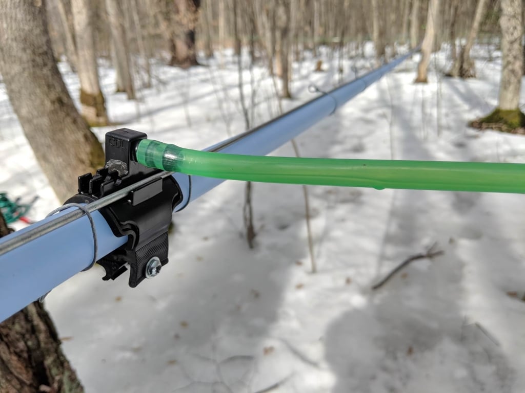 Man’s DIY Maple Tree Tapping System Collects 100 Gallons of Sap | My ...