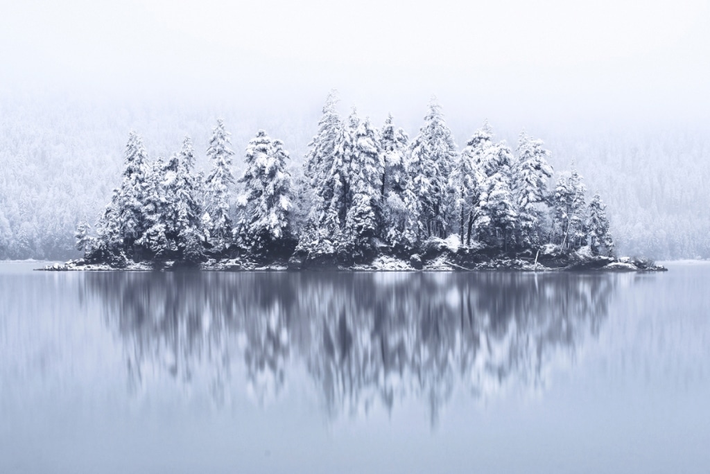 Landscape Photography Series Tells “Winter’s Tale” of Snowy Forests