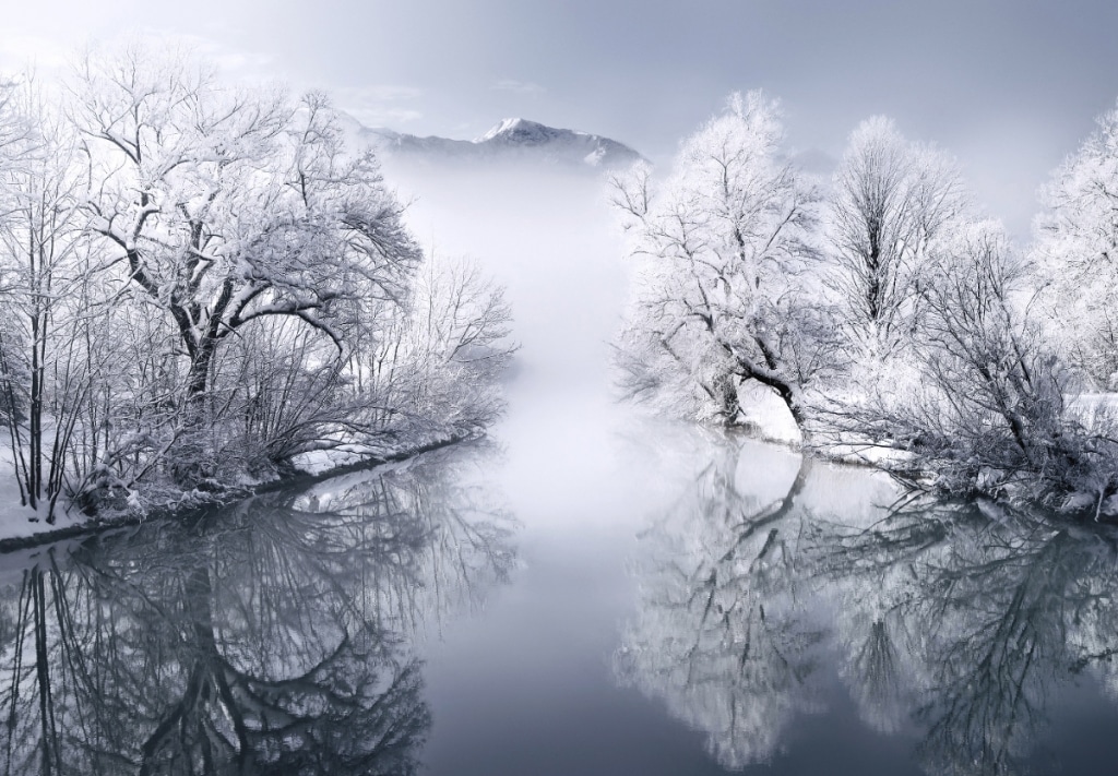 Landscape Photography Series Tells “Winter’s Tale” of Snowy Forests