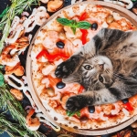 These Funny Cat Photos Are So Cute You Could Just Eat Them Up