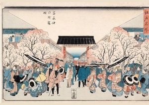 Sakura Symbolism: What is the Cherry Blossom's Meaning in Japan?