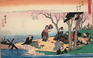 Sakura Symbolism: What is the Cherry Blossom's Meaning in Japan?