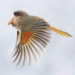 This Artist Can’t Stop Creating Weird and Wonderful Animal Hybrids in ...