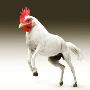 This Artist Can’t Stop Creating Weird and Wonderful Animal Hybrids in ...