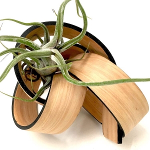 20+ of the Coolest Amazon Products You Can Buy Today