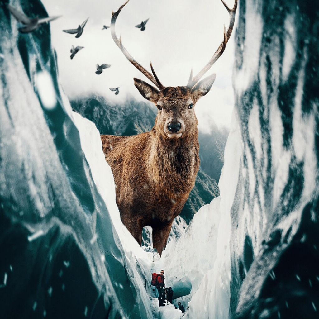 Photoshop Expert Visualizes a World Where Giant Animals Roam the Land ...