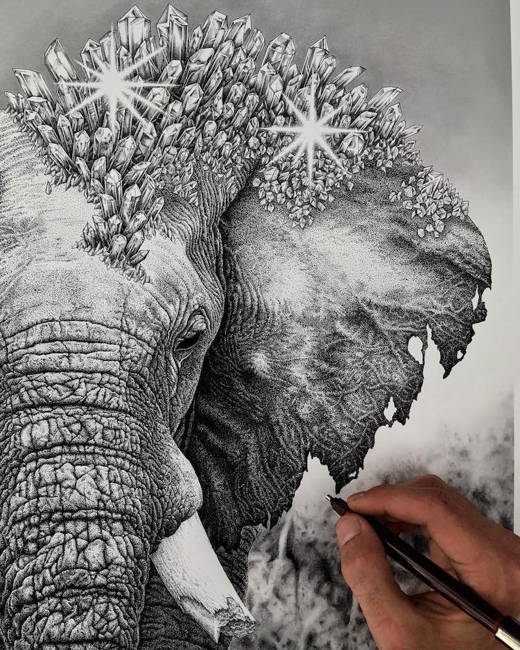 Nature Inspired Stippling Art Comprises Millions Of Hand Drawn Dots