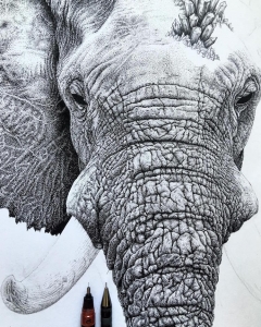 Nature-Inspired Stippling Art Comprises Millions of Hand-Drawn Dots