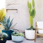Best Garden Instagrams - Plant Photography Accounts