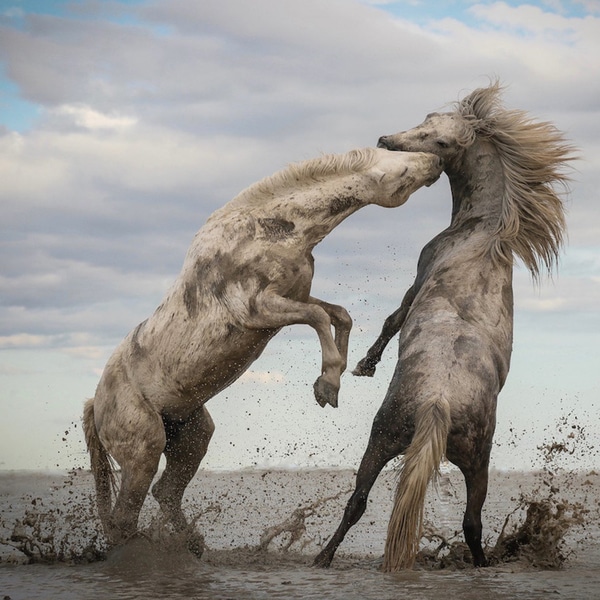 Winning Entries From Birth Becomes Her Birth Photography Contest