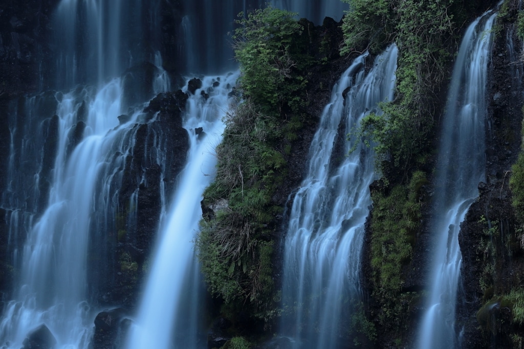 Canon’s Most Popular 70-200mm Lenses Get an Overhaul | My Modern Met