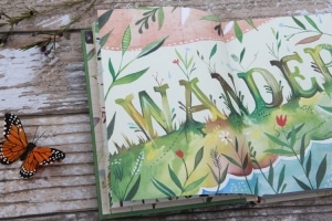 How to Be a Wildflower Field Guide Illustrated Book by Katie Daisy
