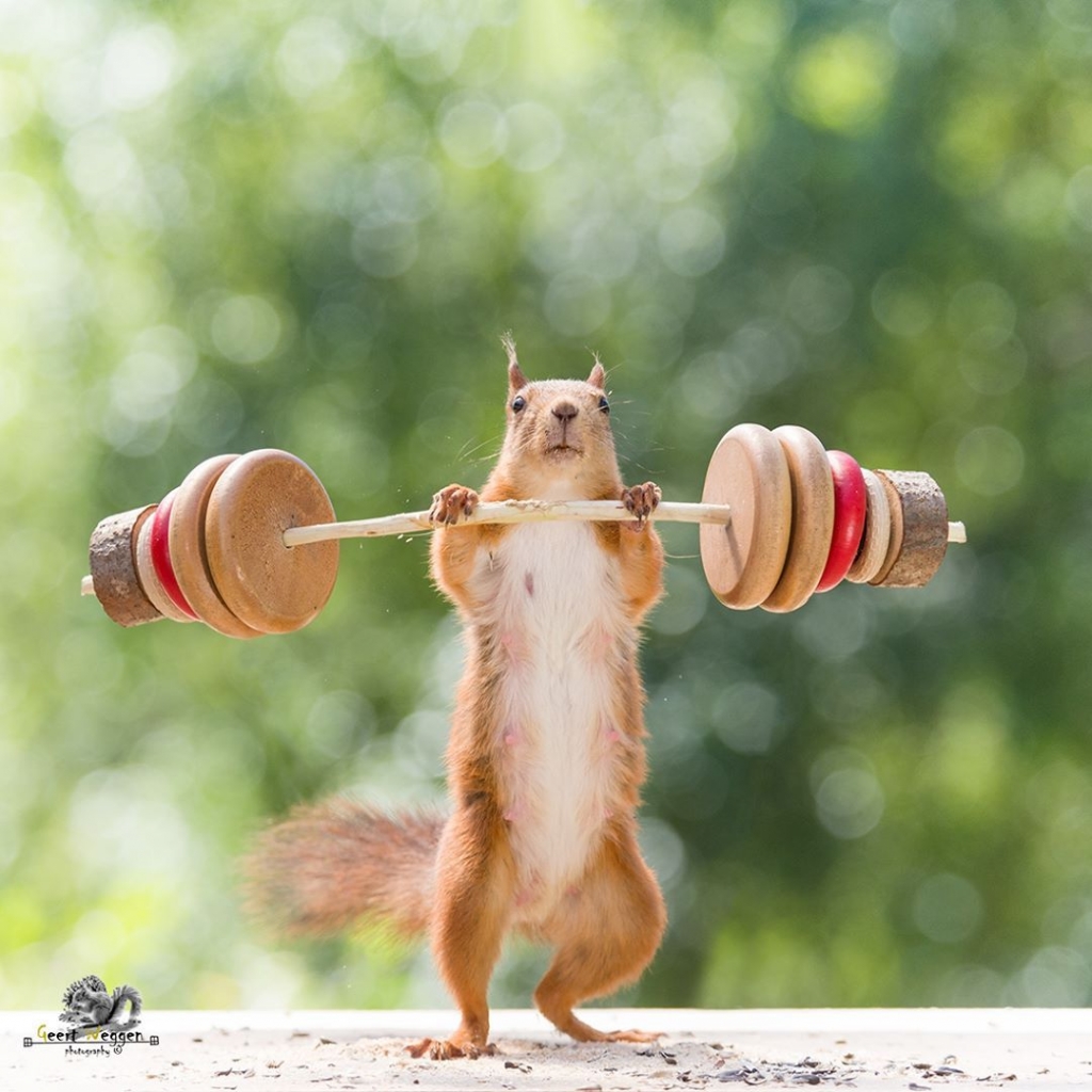 Photographer Captures Delightfully Candid Photos of Wild Squirrels ...