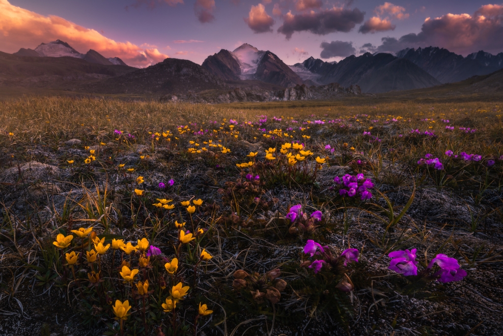 Traveling Photographer Captures the Beautiful Unspoiled Landscape of ...