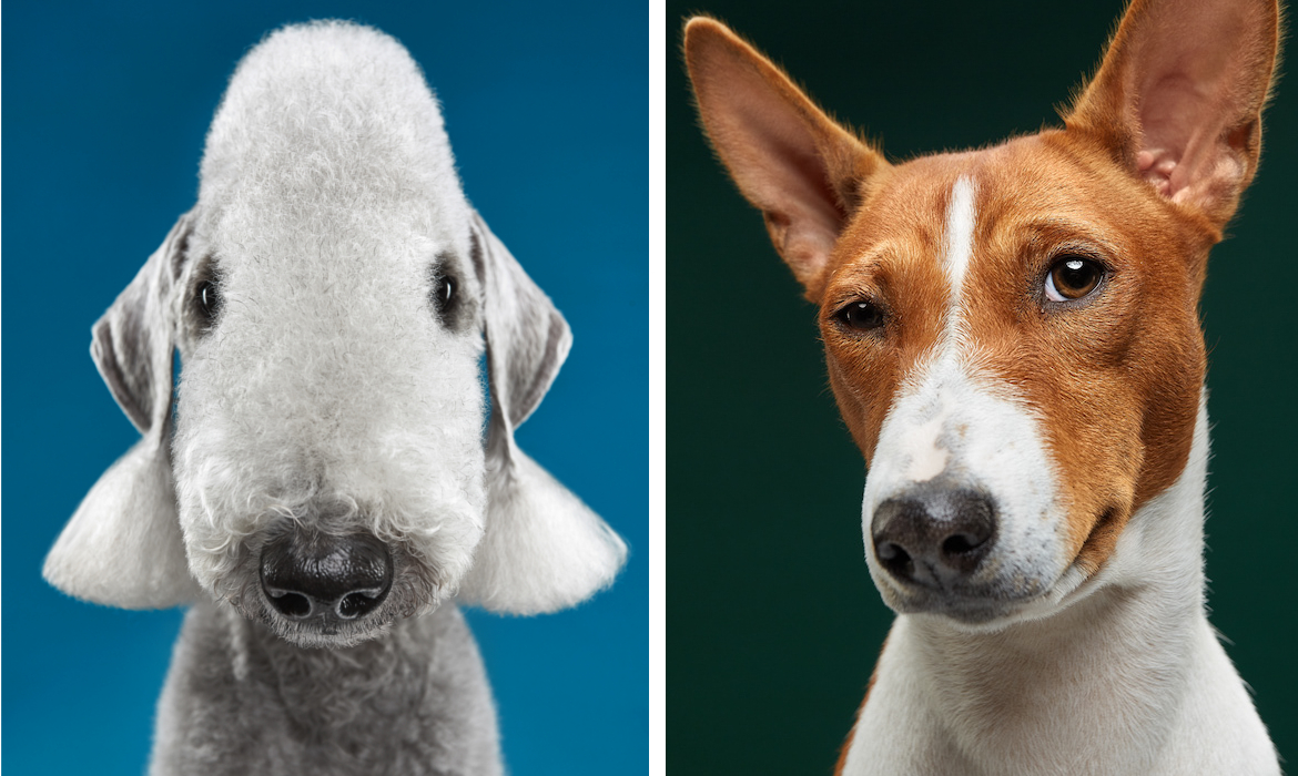 What is Cubism? The History of the Iconic Cubism Art Movement