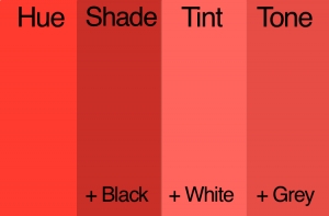 The Ultimate Guide to Basic Color Theory for All Artists