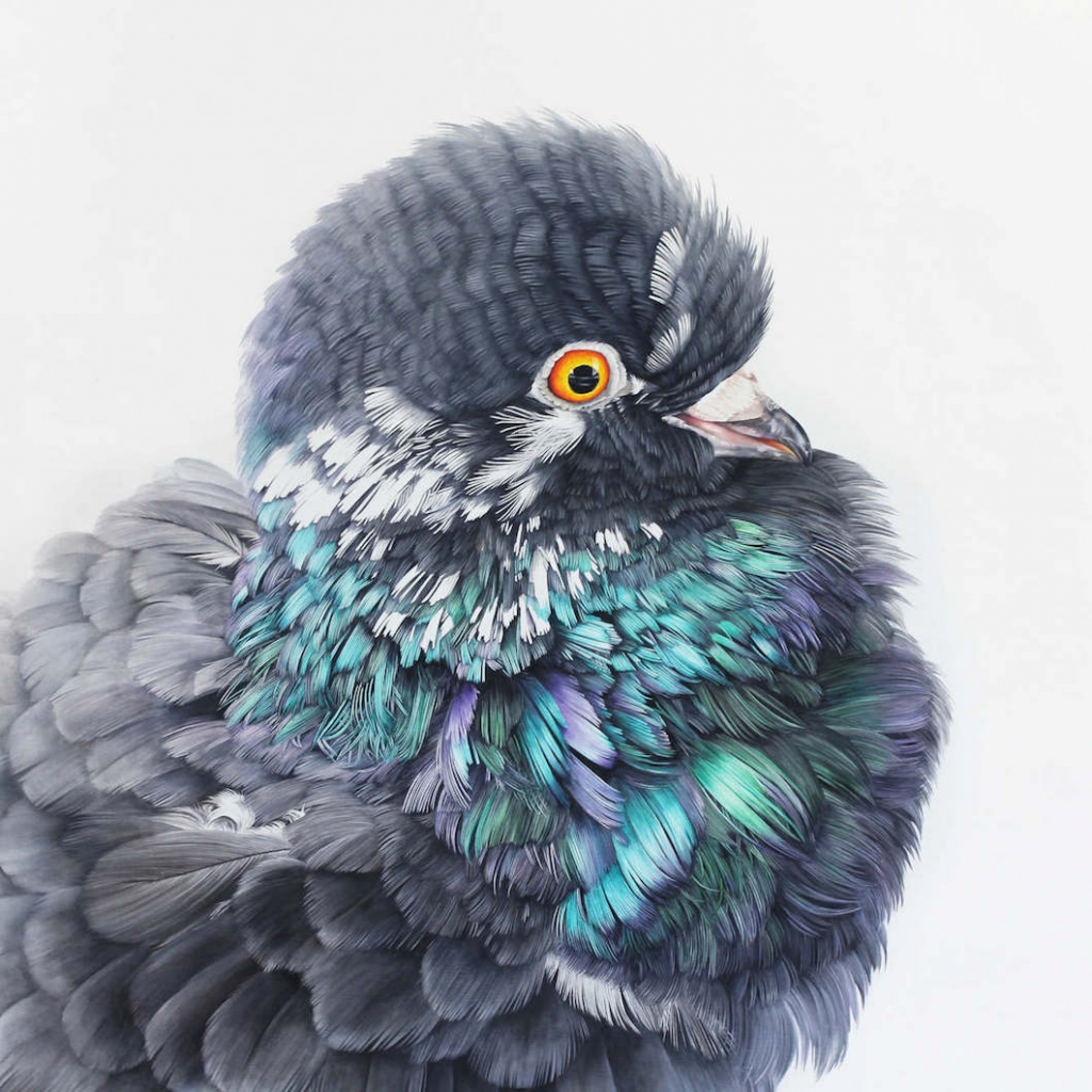 Massive Paintings of Pigeons Reveal the Street Birds’ Unexpected Beauty ...