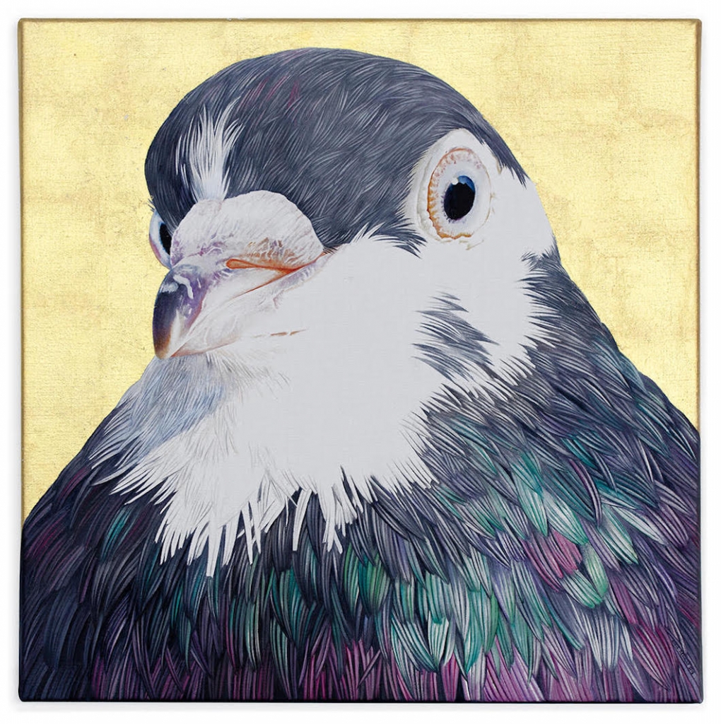 Each Pigeon Painting by Adele Renault Shows the Bird's Overlooked Beauty